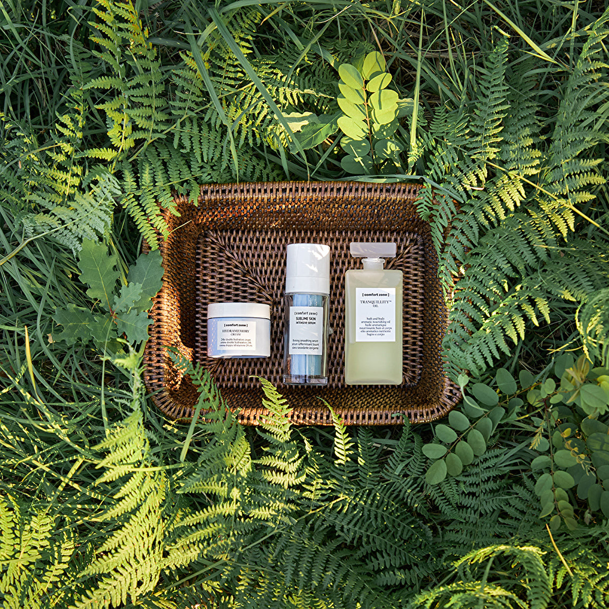 Comfort Zone | Face | Science-Based Skincare - Skin Social